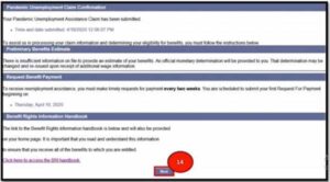 How to Apply for Pua Benefits | Florida Unemployment